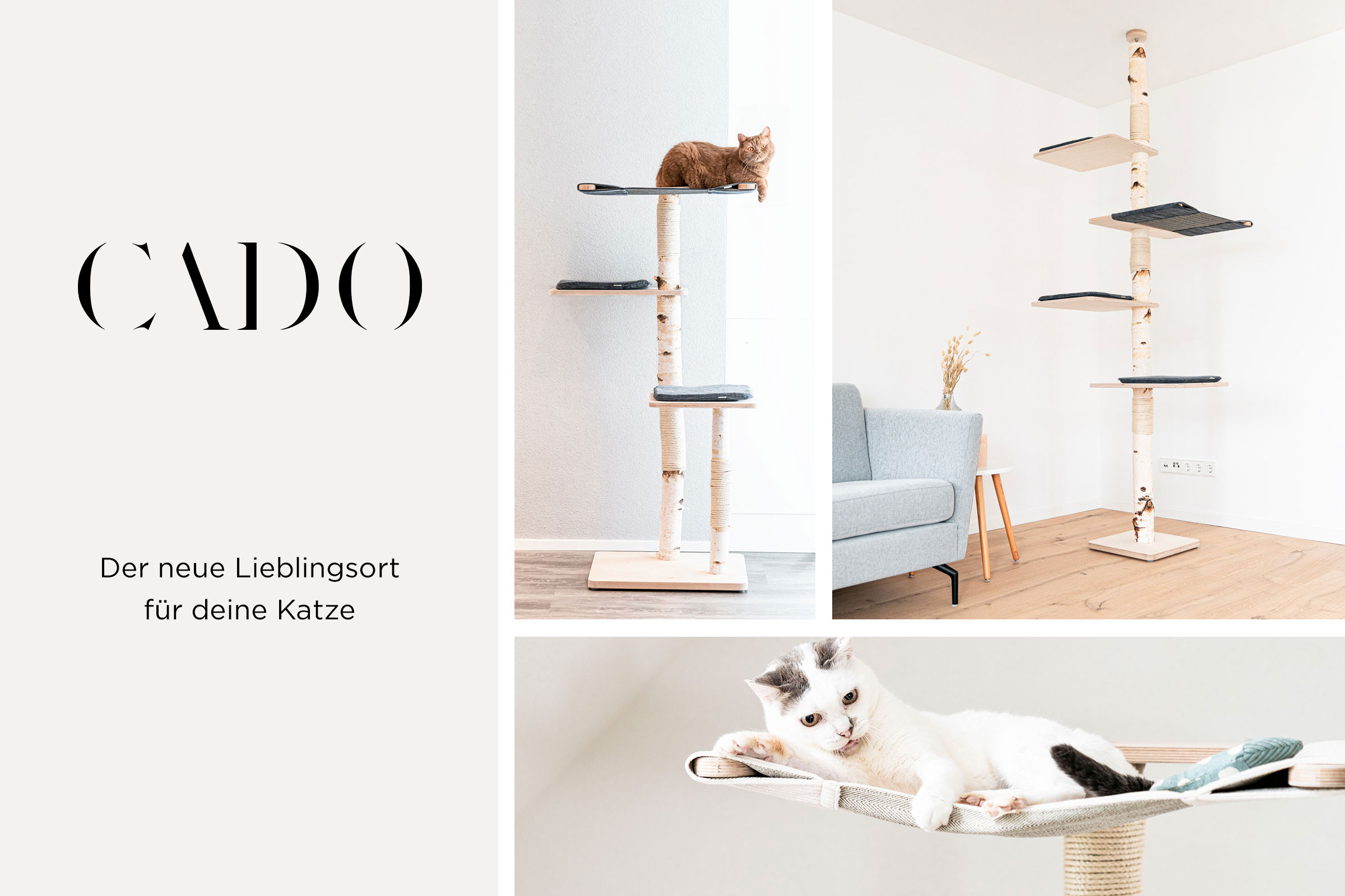 CADO - parktraeume.de